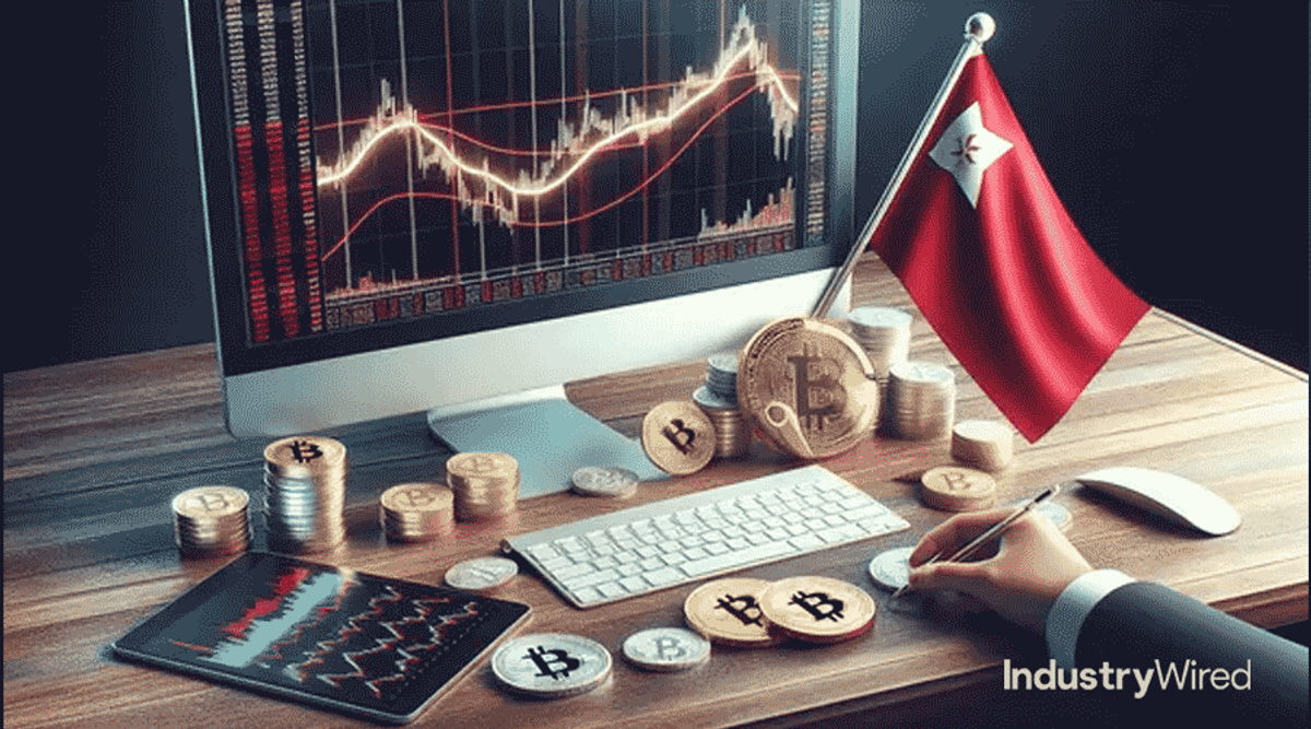 How to Identify Red Flags in ICO Projects