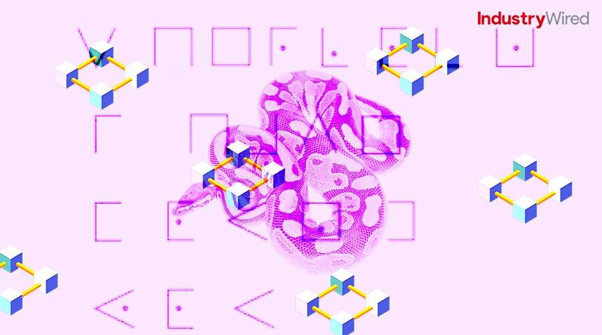 A Definitive Guide to Blockchain for Python Developers