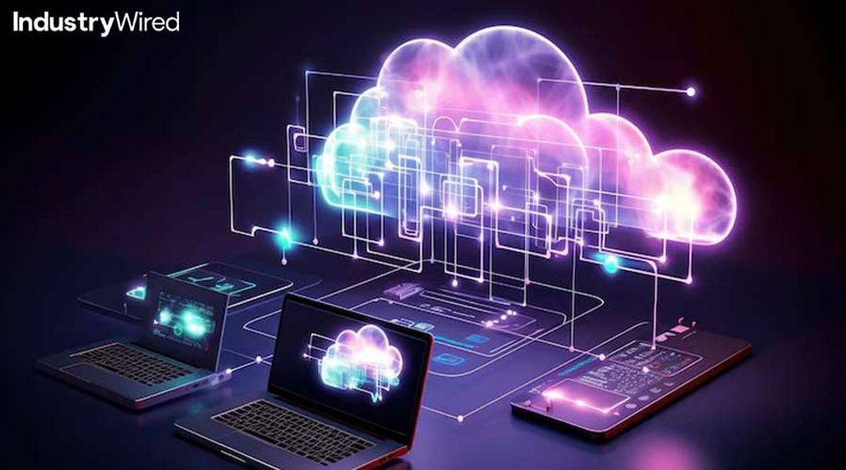 Is SaaS the Most Cost-Effective Option?