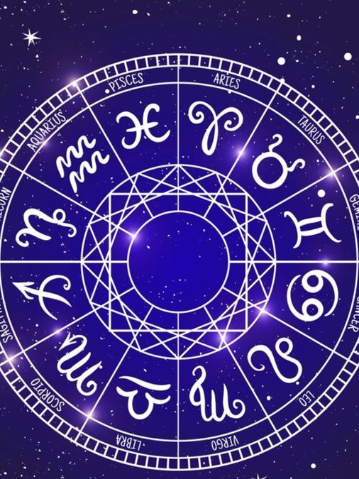 Goal oriented zodiac sign makar zodiac sign mesh zodiac sign