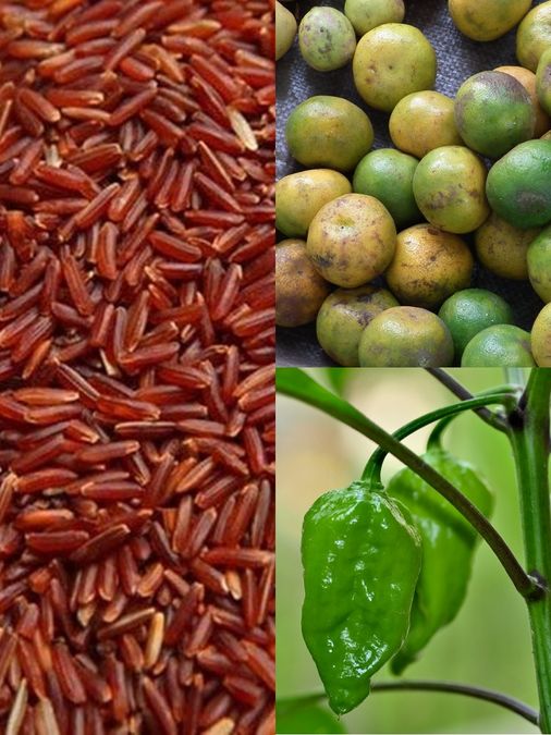 Orange of Karnataka, chilli of Nagaland, know which things from which ...