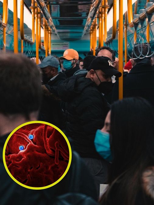 When was the first case of HMPV virus found and Full Form: कब मिला था ...