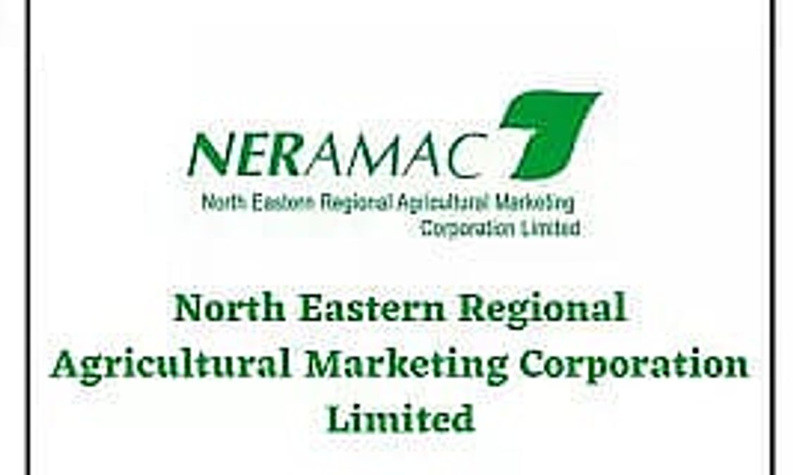 NERAMAC Limited Recruitment 2023 - Assistant Manager Vacancy, Job Opening