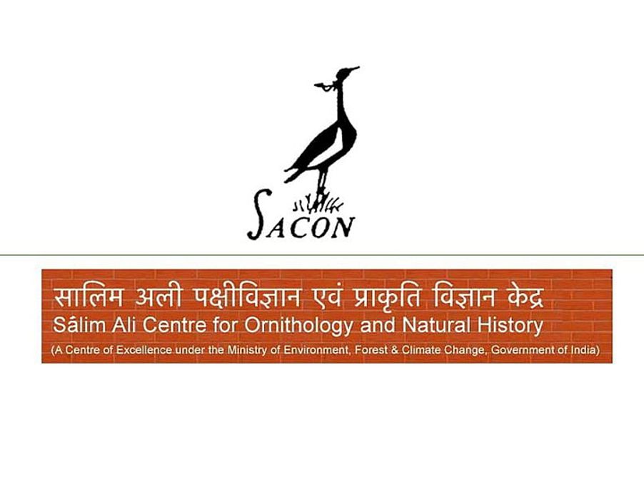 SACON Recruitment 2024 - Programme Fellow Vacancy