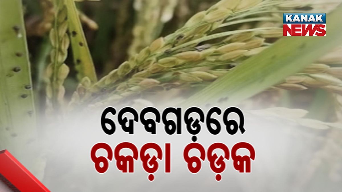 ଦେବଗଡ଼ରେ ଚକଡ଼ା ଚଡ଼କ