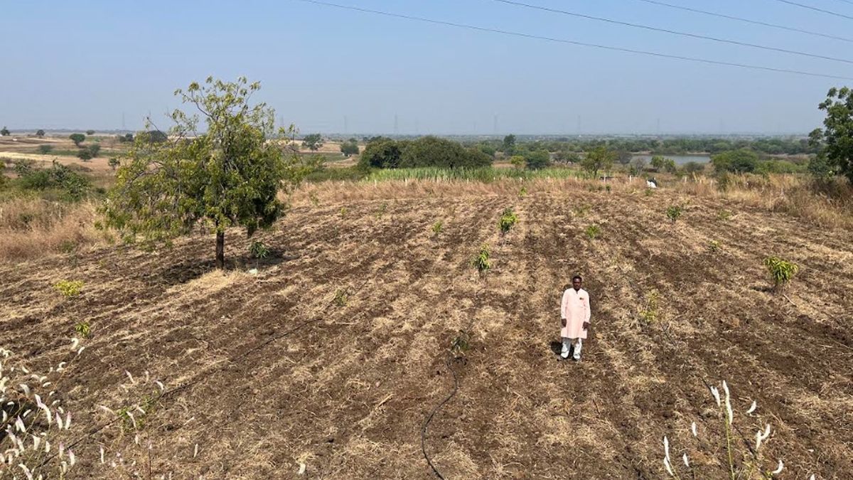 Solapur Farms Through the Lens of Energetic Mumbai Marathon
