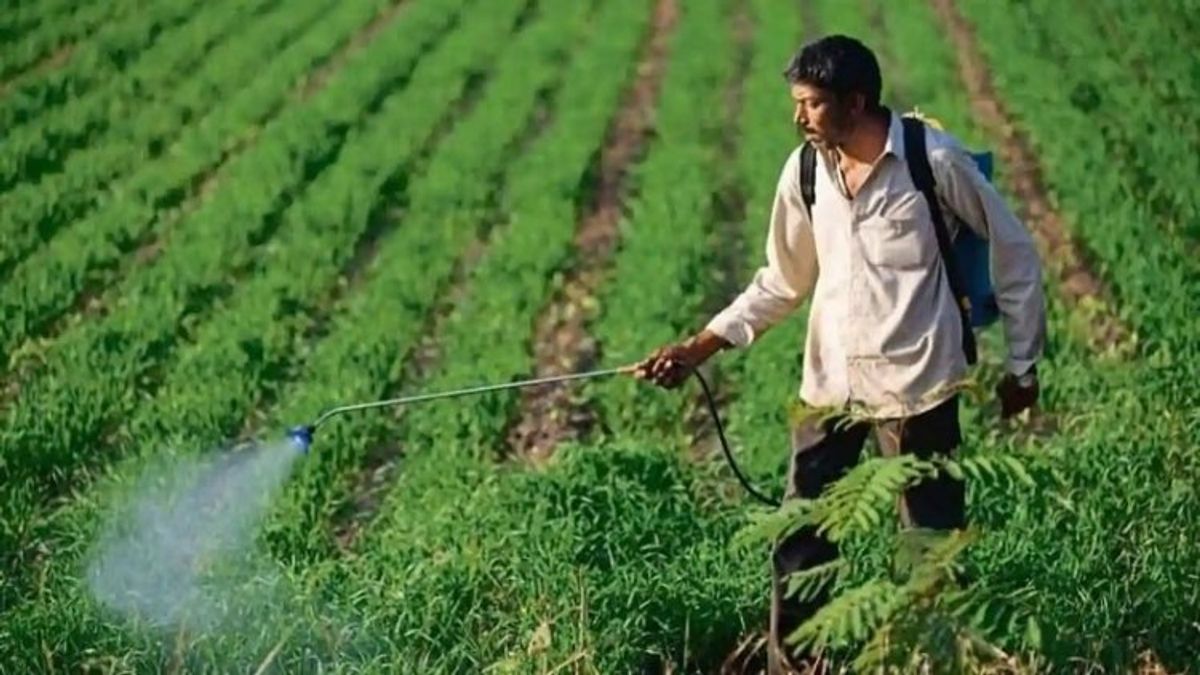 Mahadhan Agritech ties up with Israeli firm Haifa to promote specialty ...