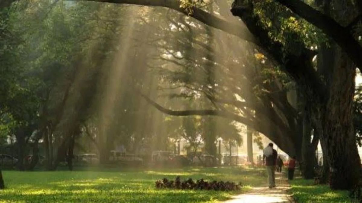 Private walking tours banned in Bengaluru’s Cubbon Park as govt ...