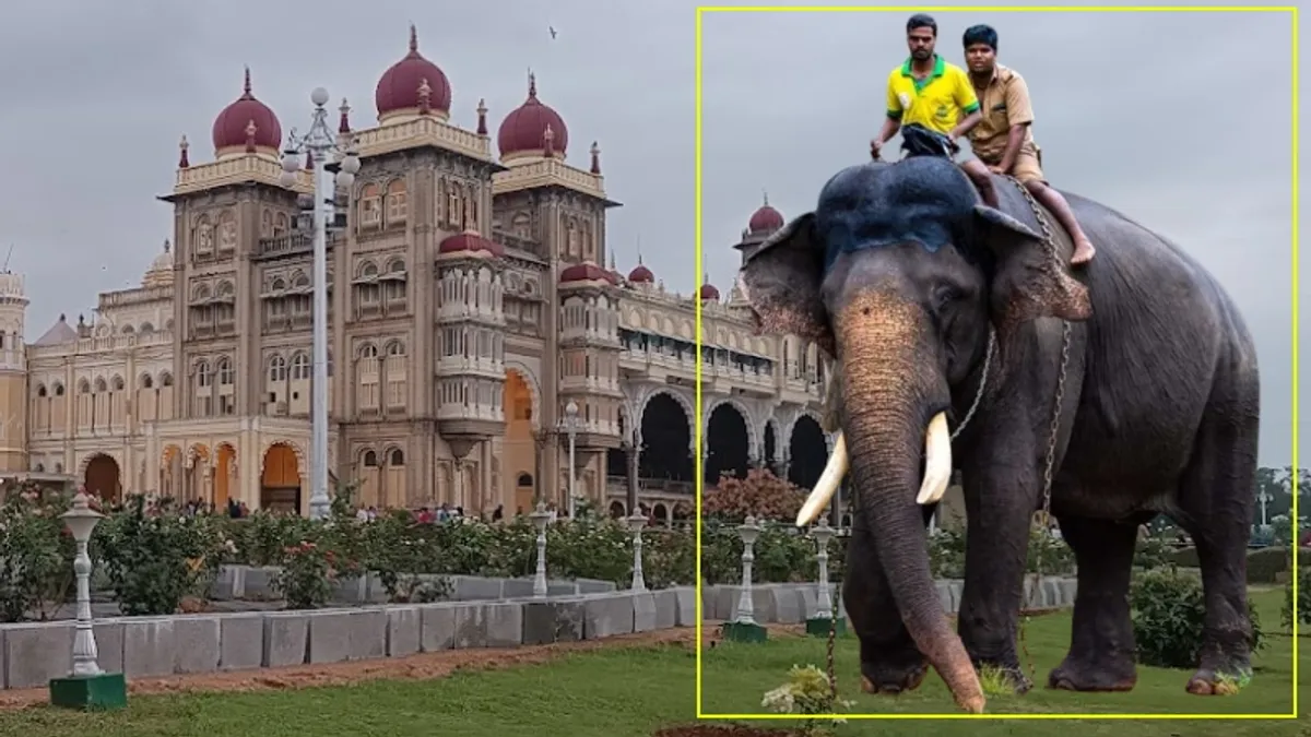 Karnataka: Elephant Arjuna who participated in Dussehra killed in fight ...