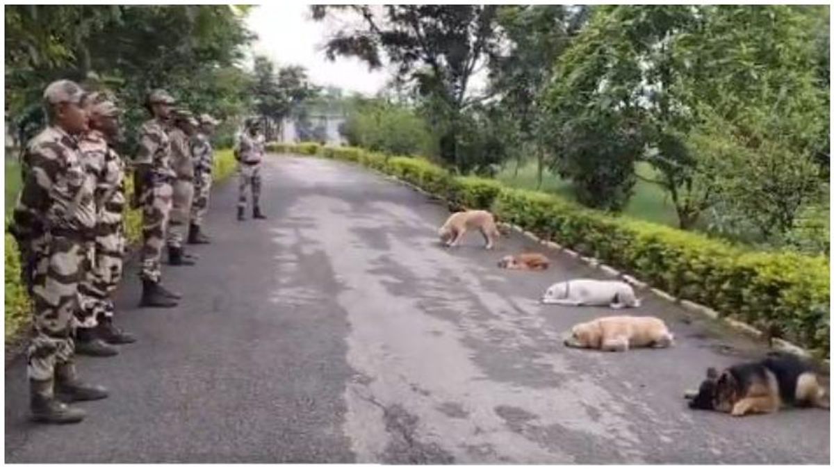 CISF's canine unit: a silent force safeguarding national assets