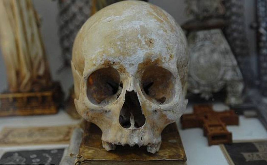 William Shakespeare's skull stolen from grave, claims archaeologist