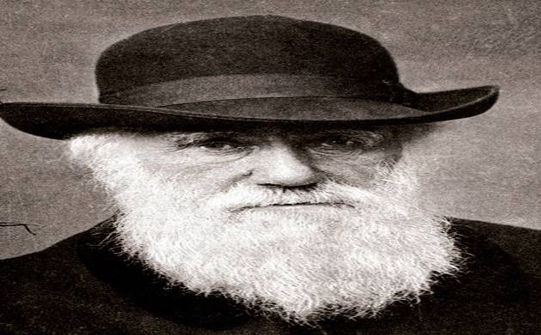 51 million year old genetic secret to Darwin's theory unlocked by ...