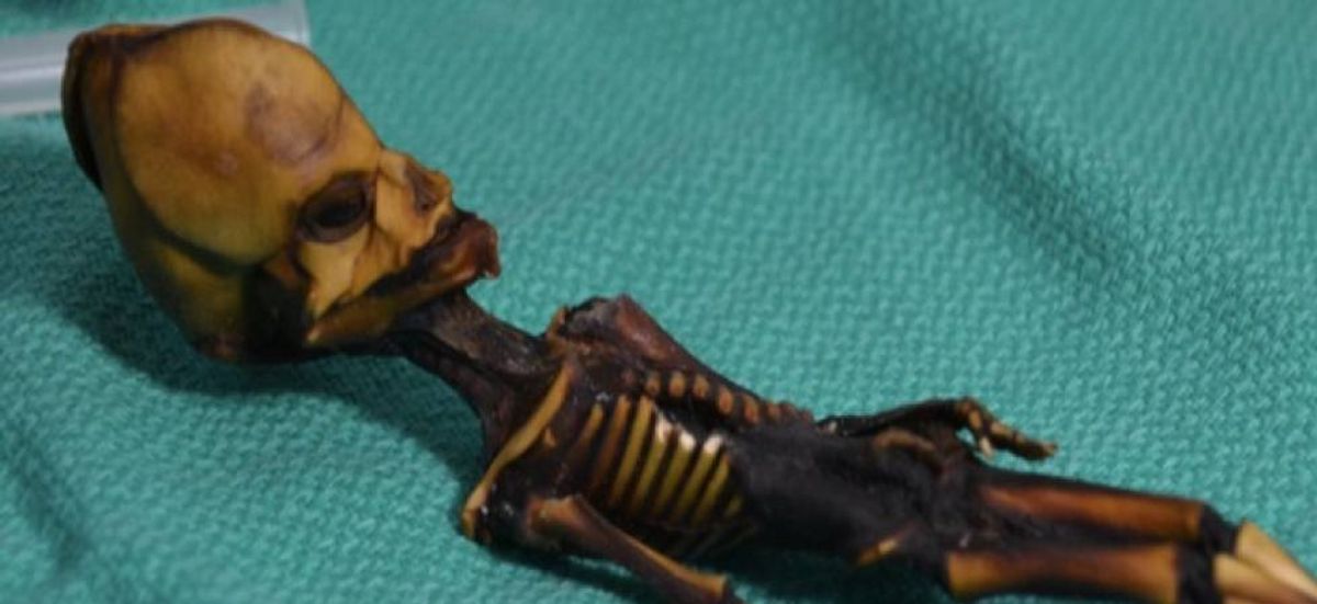 'Alien' like Atacama skeleton is actually of HUMAN fetus, reveal DNA tests