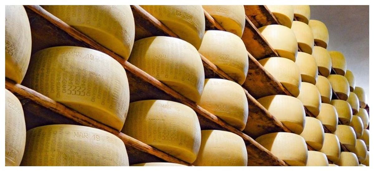 People are making cheese out of celebritiesâ€™ armpit and bellybutton ...