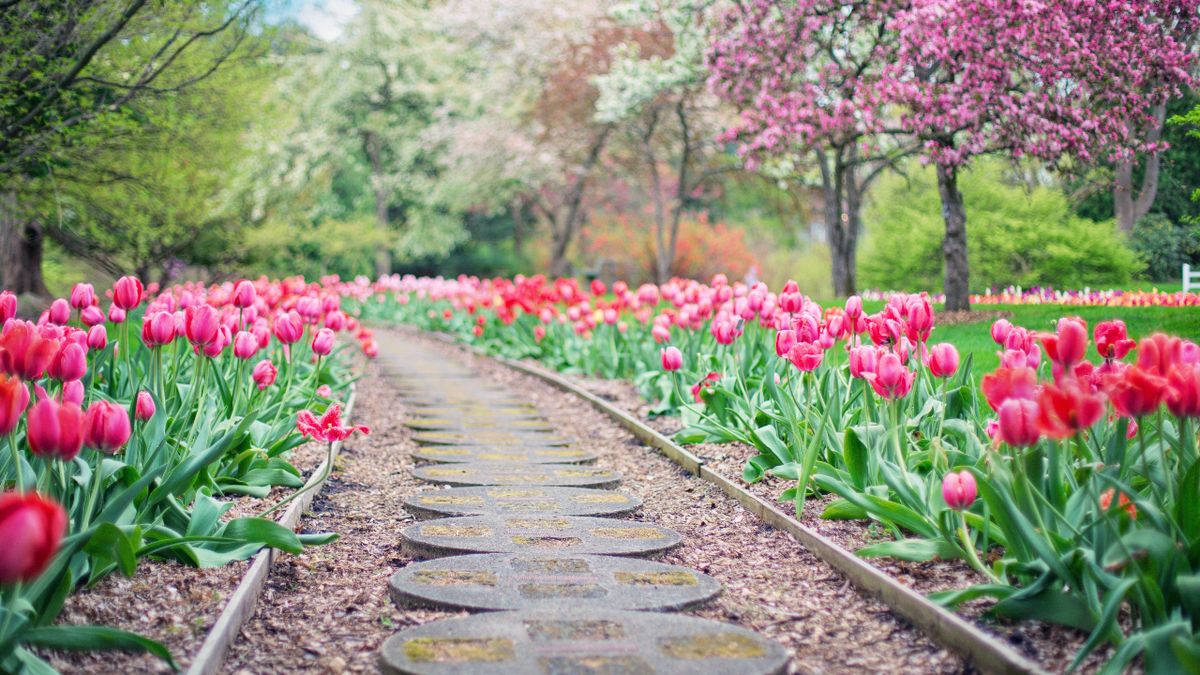 Spring Equinox 2020: All You Need To Know About The Earliest Spring In ...