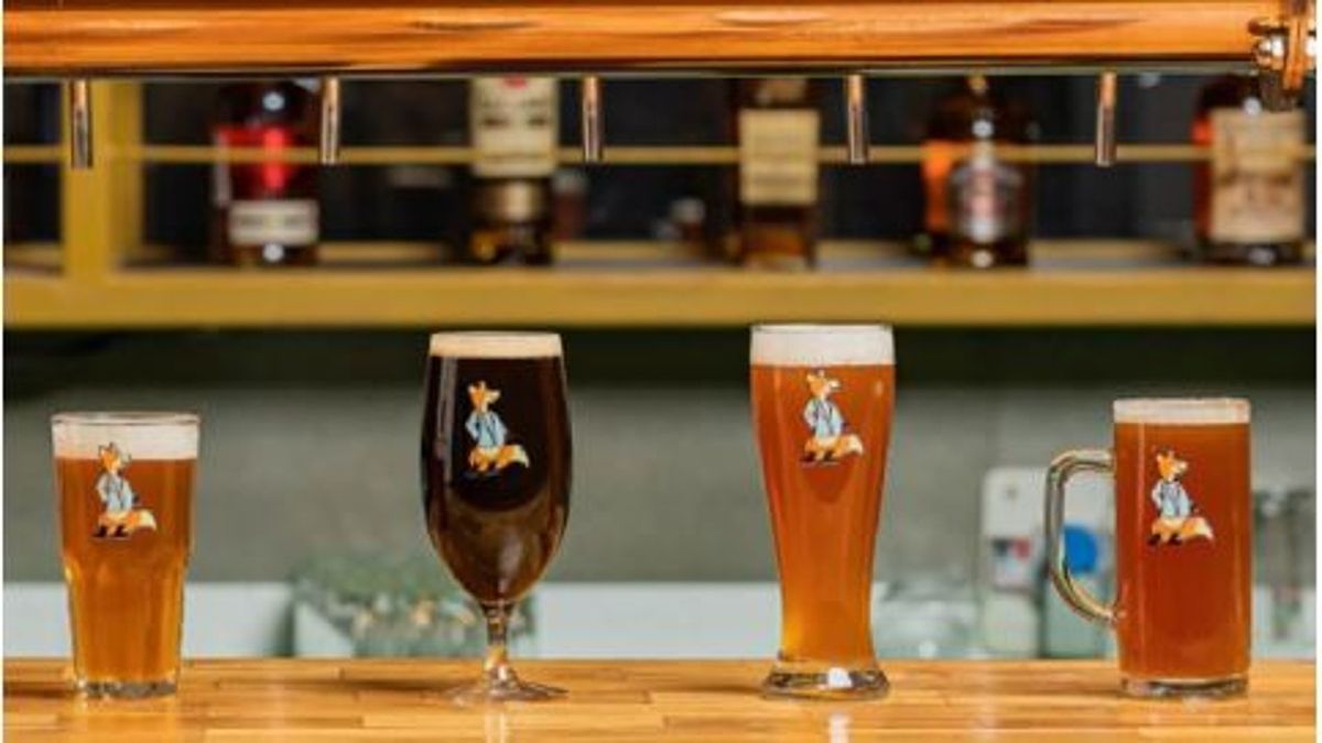 Meet Fox in the Field: Whitefield Cozy Spot for Craft Beers