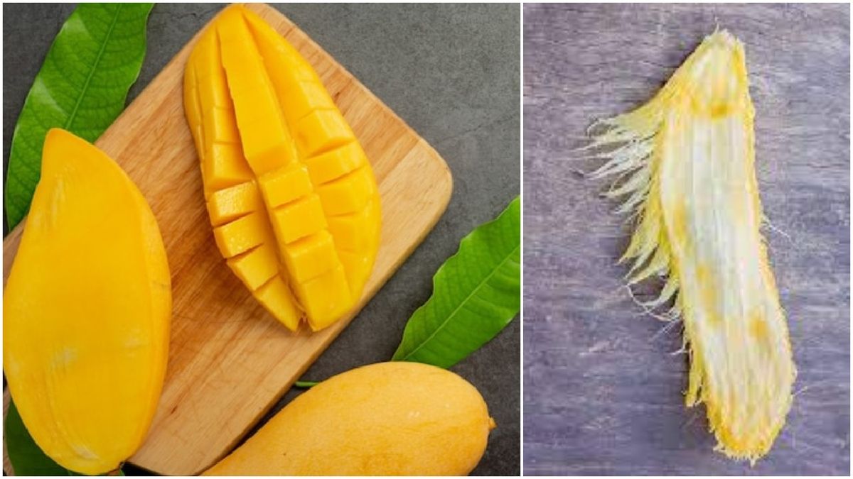 Mango Kernels Health Benefits: आम खाते हुए भूल कर भी न करें ये गलती ...
