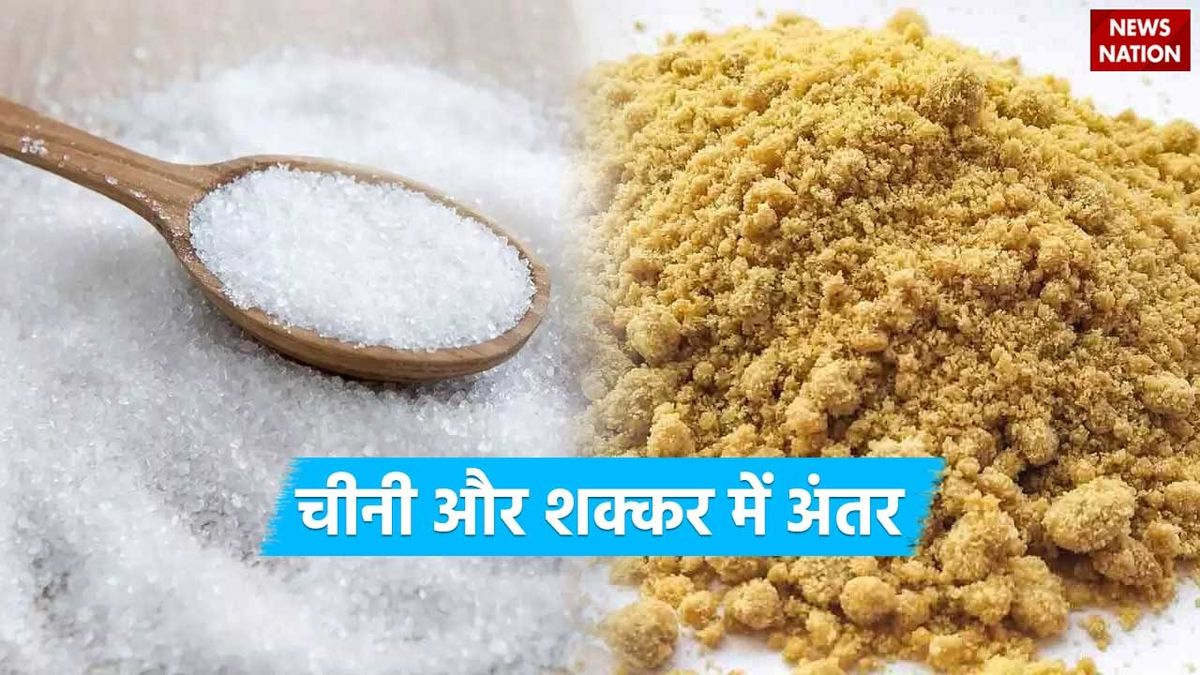 Jaggery Vs Sugar: चीनी और शक्कर में क्या अंतर है, जानें क्या है ज्यादा ...