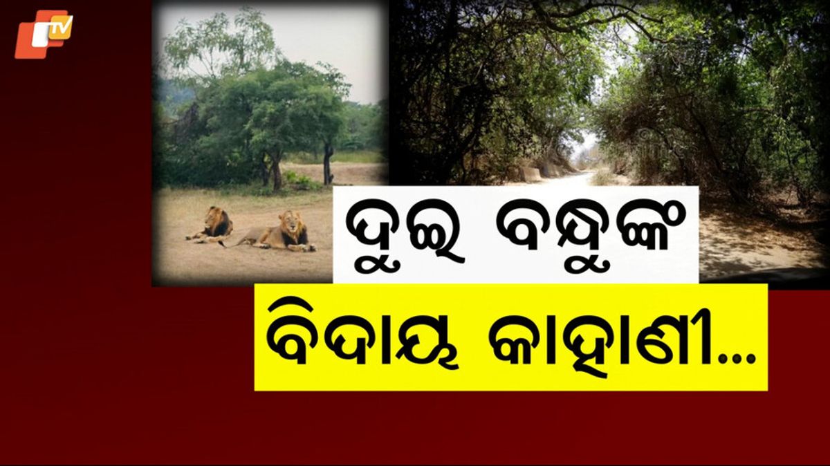 Jay And Veeru: ପାଲଟିଗଲେ ଇତିହାସ, କିନ୍ତୁ ମନେ ରହିବେ ସବୁଦିନ ପାଇଁ...କାହାଣୀ ...