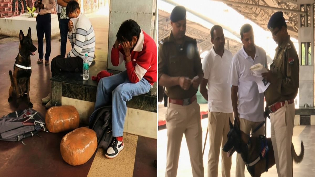 Two ganja peddlers arrested at Bhubaneswar railway station after ...