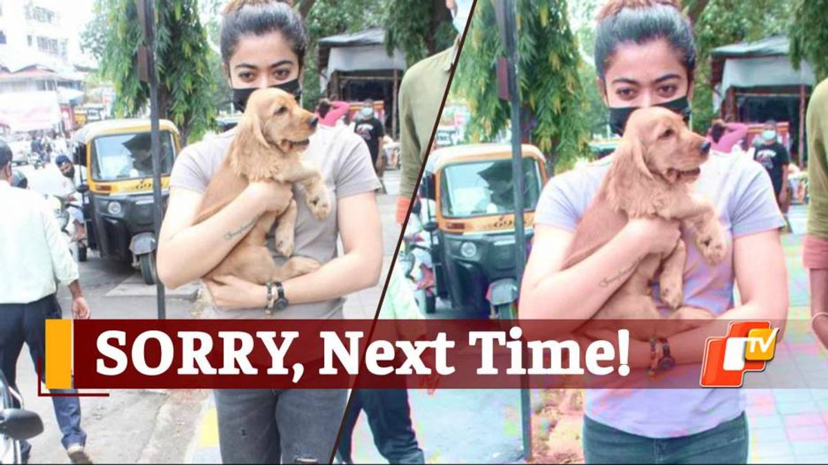 Rashmika Mandanna Says Sorry, Watch To Know Why!