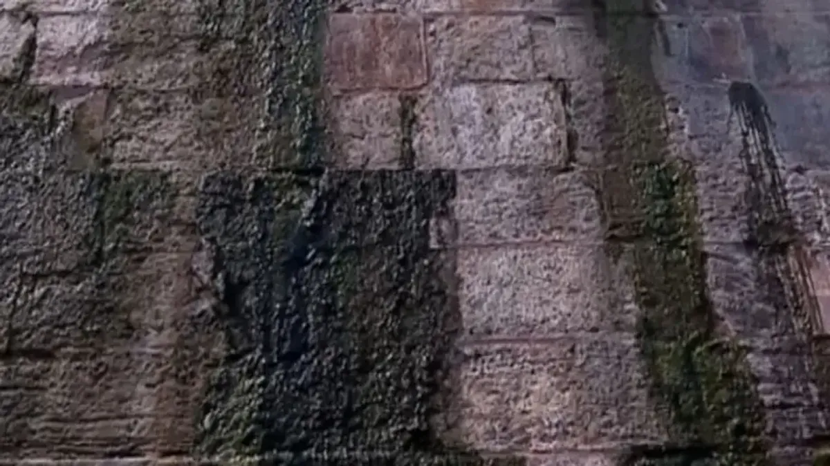 After uproar over multiple cracks, SJTA takes up 'Meghanada Pacheri ...