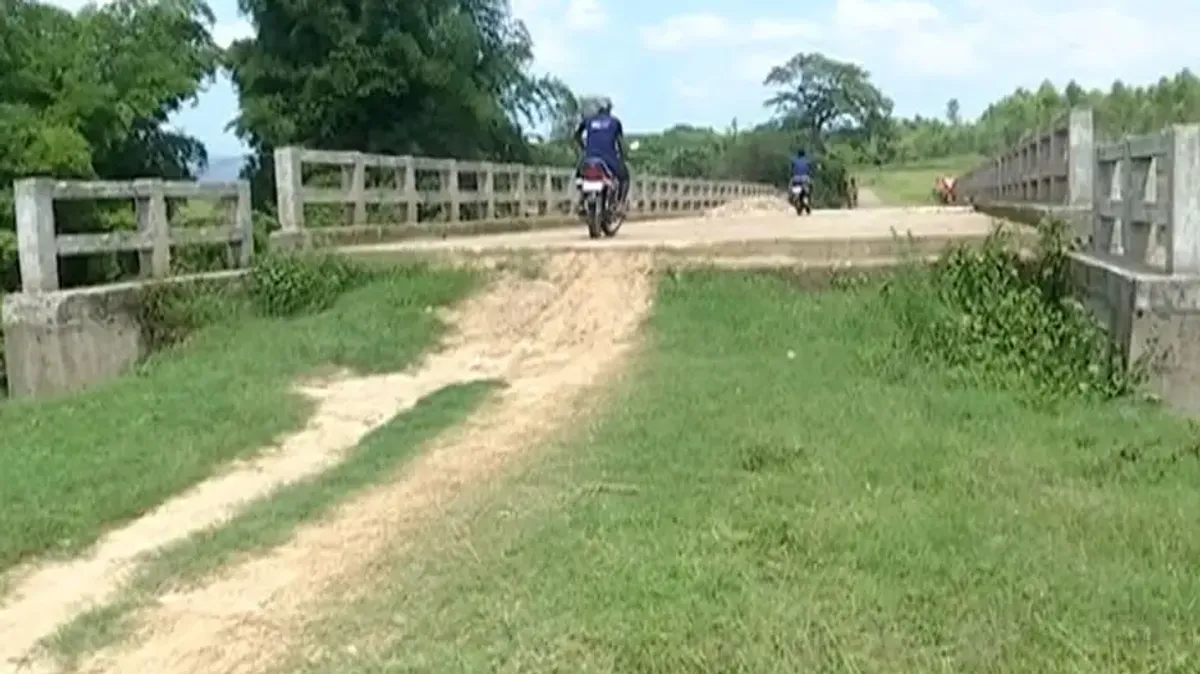 Bridges without roads: Villagers struggle amidst incomplete ...