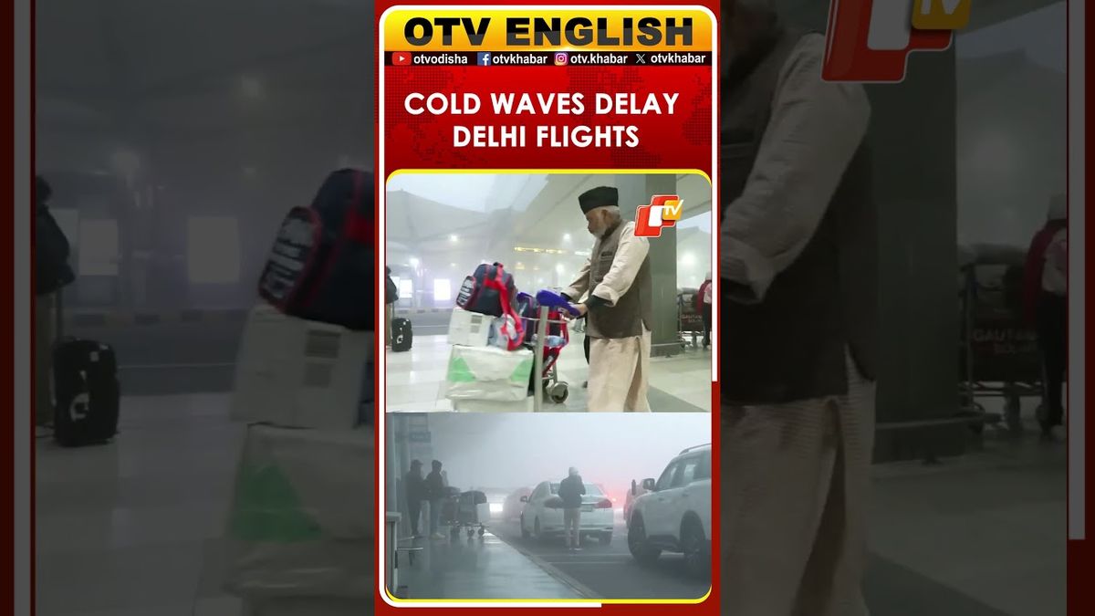 Delhi IGI Airport: Flights Delayed Due To Fog & Cold Waves