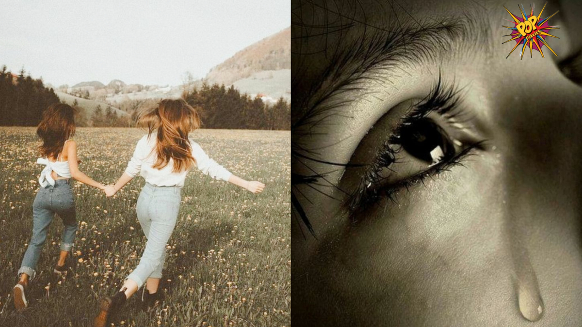 The Spectrum of Attachment Styles: Insights and Explanations