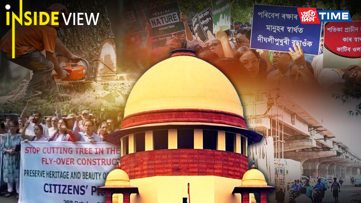 SC's Strong Ruling On Tree Felling & Assam Minister's Support | A Blunt ...