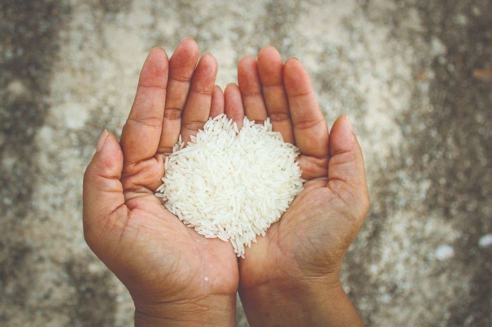 India Introduces First Genome-Edited Rice Varieties to Boost Yields and ...