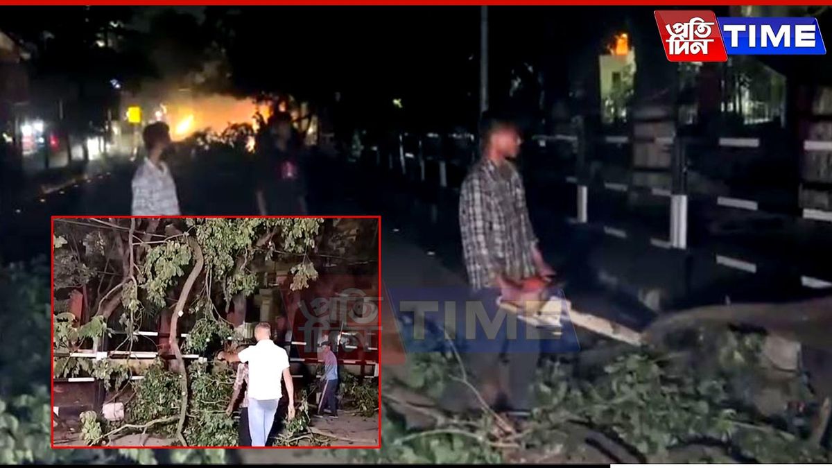 Guwahati: Late-Night Tree Felling Near Dighalipukhuri Sparks Backlash