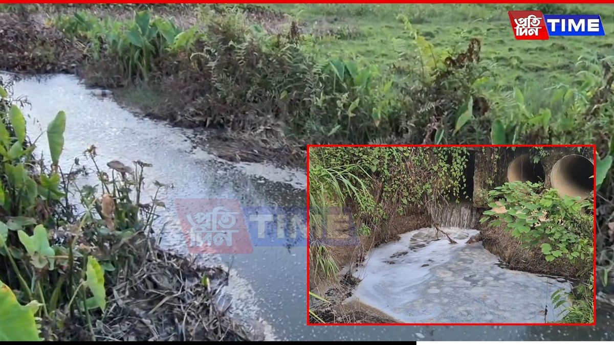 Assam: Toxic Discharge from Numaligarh Refinery Sparks Health Crisis