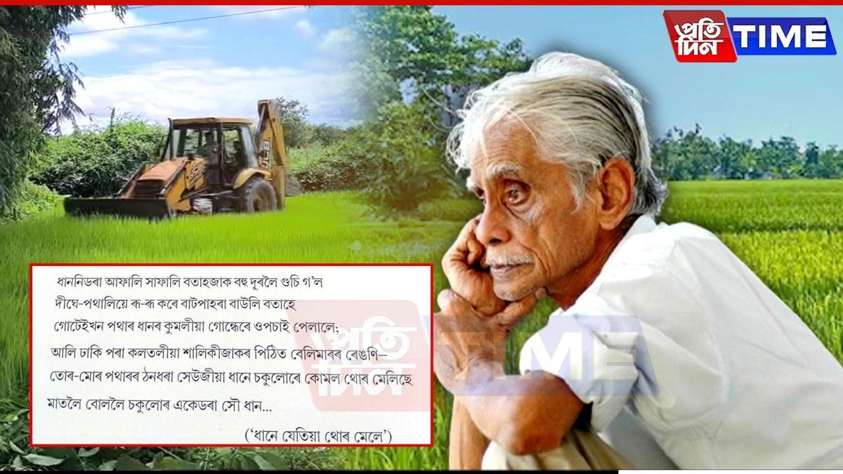 When Bulldozers Trample Verses: On Paddy, Poetry, and a Lost Conscience