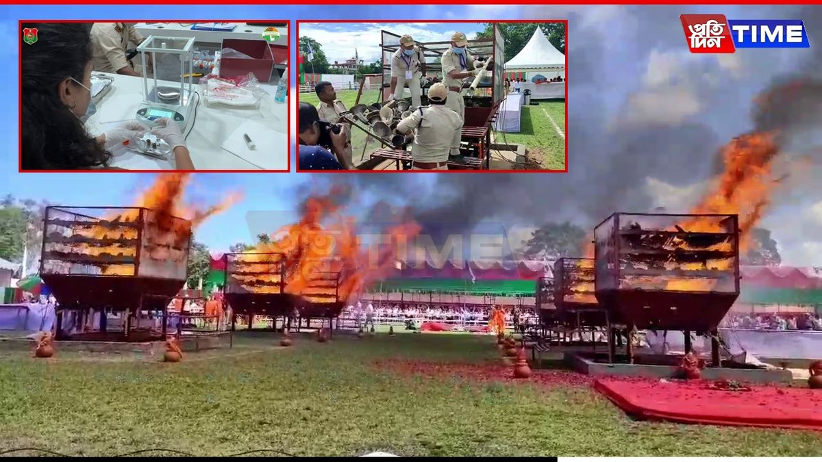 Assam Sends Rhino Horns to Wildlife Institute of India for DNA Testing