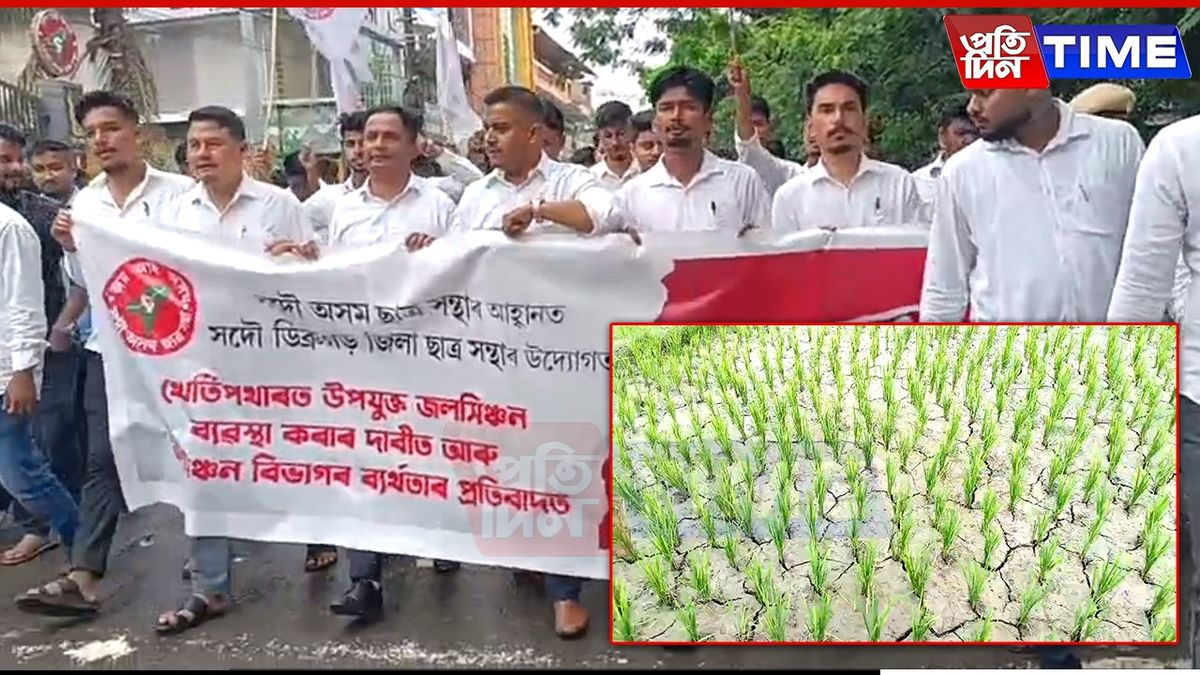 Assam’s Rice Crops Hit by Water Shortage, AASU Demands Irrigation