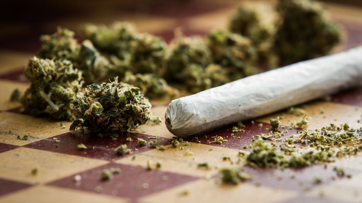 Cannabis Weighing 45kg Seized in Assam’s Hojai