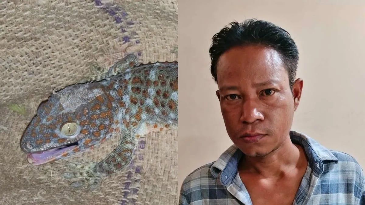 Man Held With Gecko In Guwahati