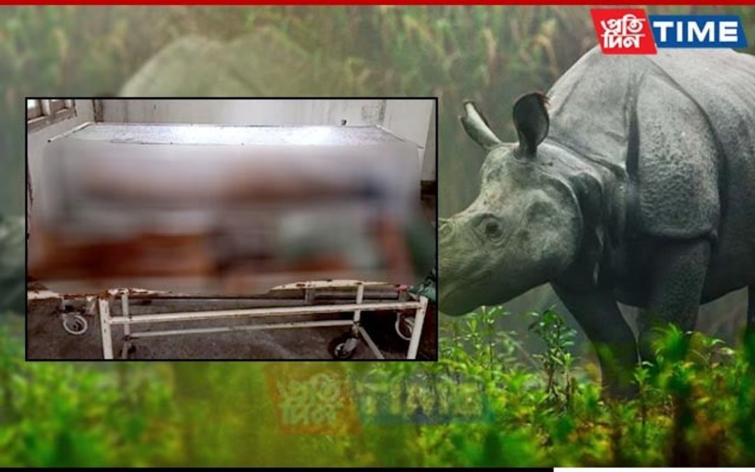 Assam: Rhino Poacher Shot Dead in Encounter With STF
