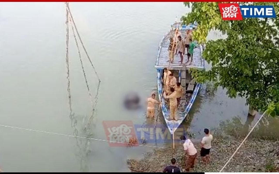 Assam: Rhino Carcass Found at Pobitora Wildlife Sanctuary