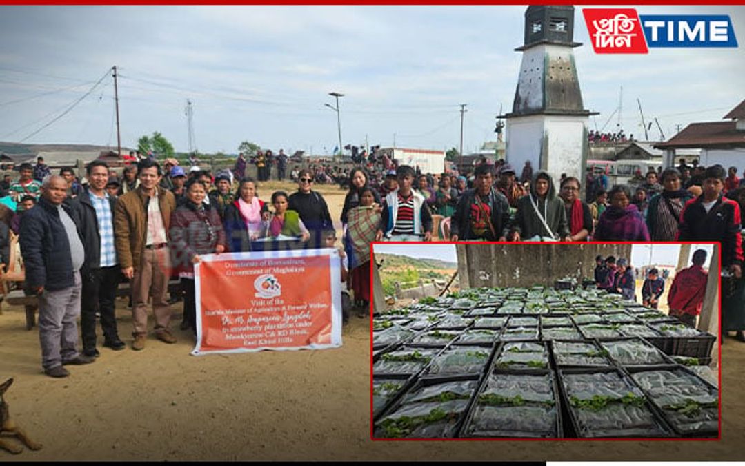 Meghalaya Govt Promotes Strawberry Cultivation through Sapling Distribution