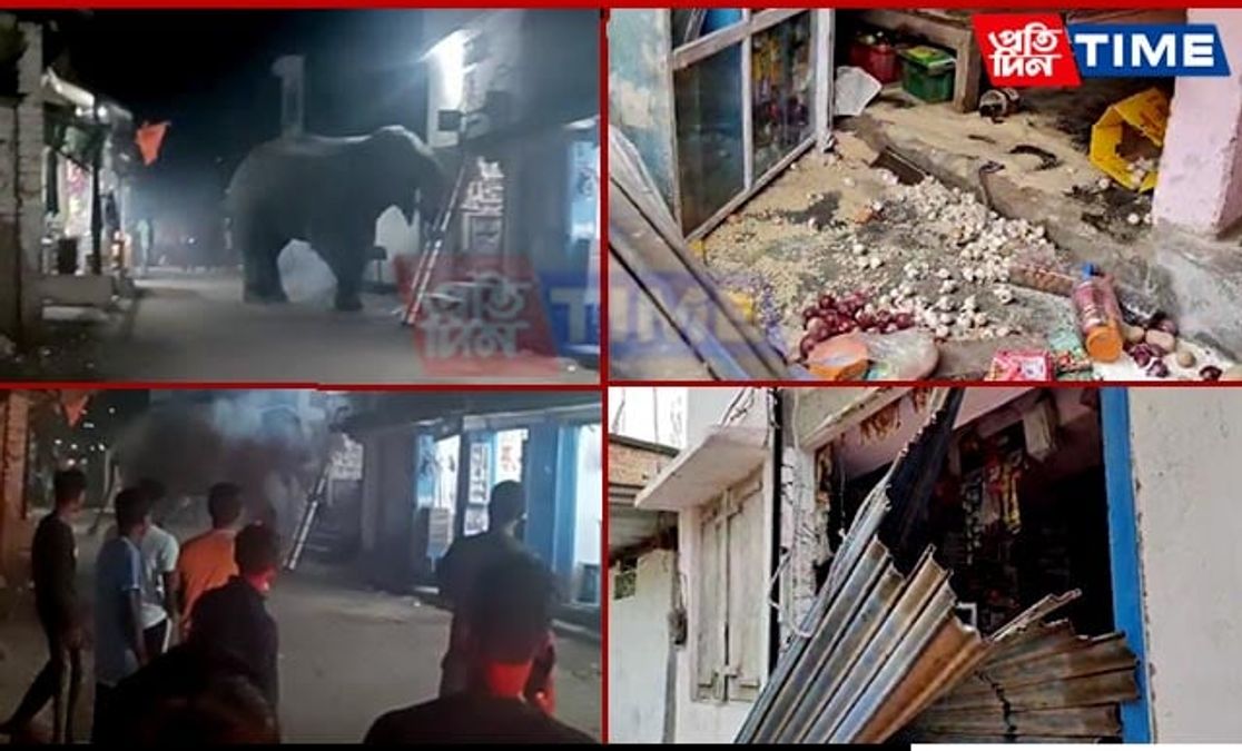 Rampaging Elephant Plagues Amsing Jorabat, Residents Demand Compensation