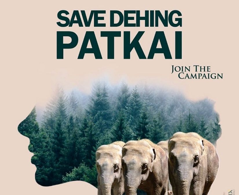 Dehing Patkai# Game everybody loves to play