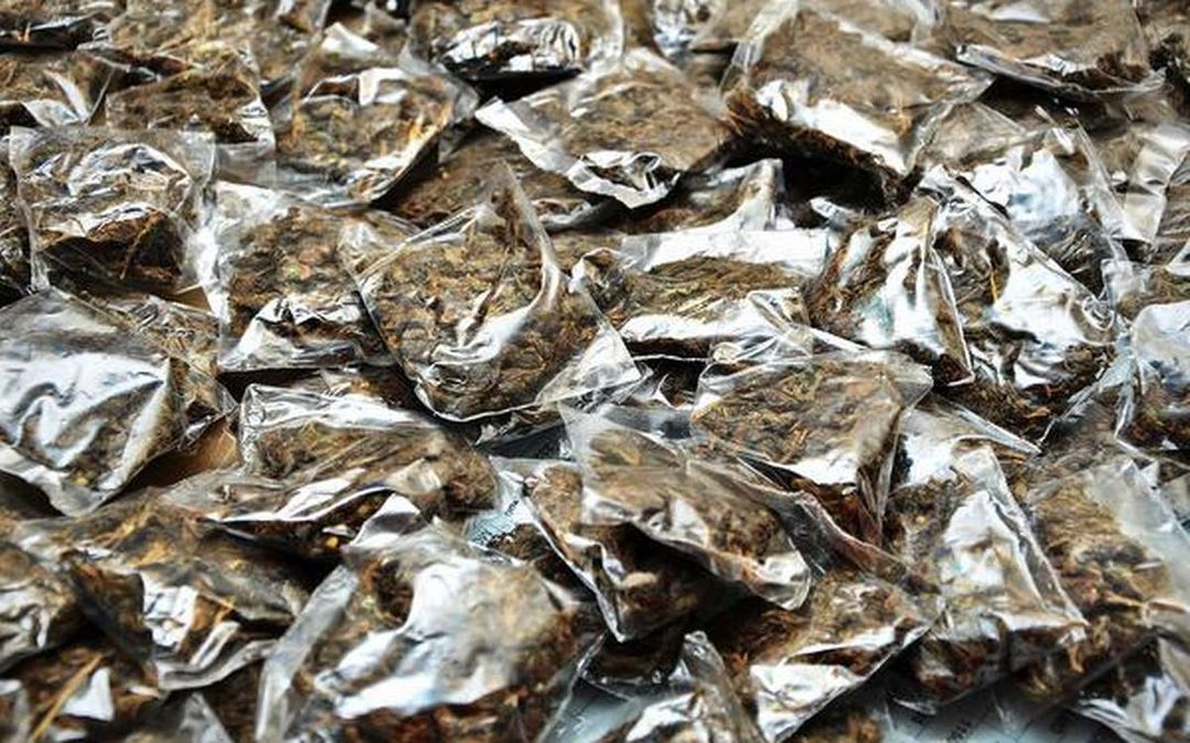 Cannabis Worth Over Rs 50 Lakhs Seized in Arunachal