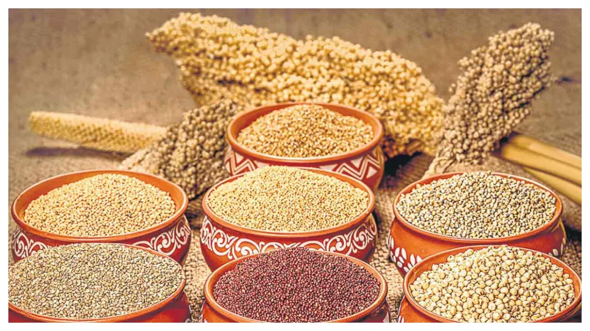 Millets: ఆరోగ్యానికి ఎంతో మేలు చేసే 5 చిరుధాన్యాలు ఇవే..?