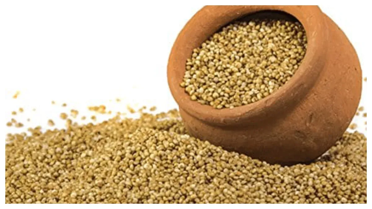 Millets : మధుమేహం ఉందా.. అయితే మీ డైట్ లో వీటిని యాడ్ చేయండి