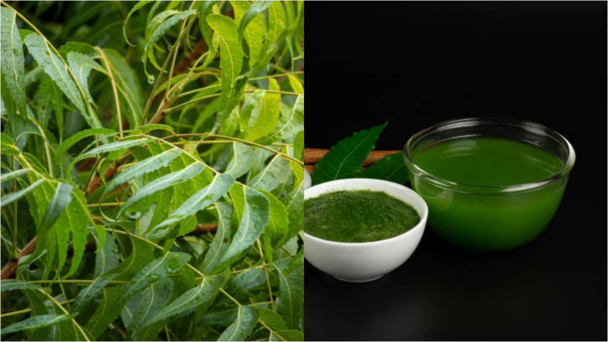 Neem Leaves Water Bath: వేప ఆకుల నీటితో స్నానం చేయడం వల్ల కలిగే ...