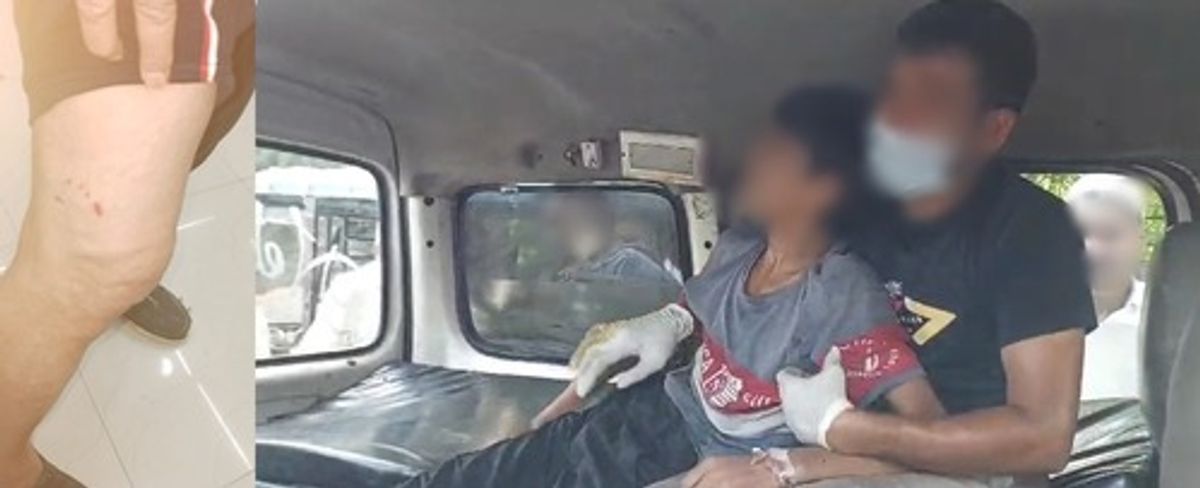 TN issues advisory on Rabies prevention after dog bite deaths in Kerala