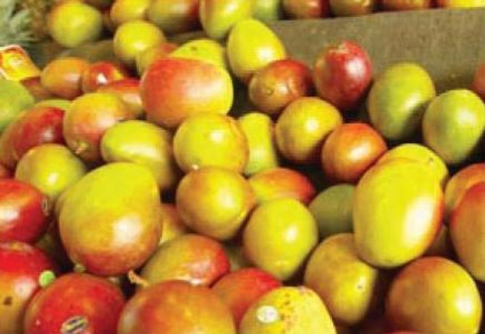 Mango fest in Odisha capital in June