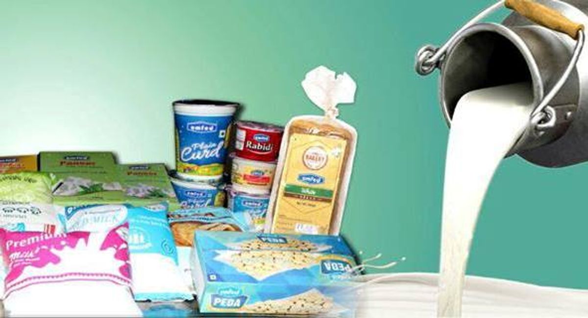OMFED aims to double milk production in Odisha